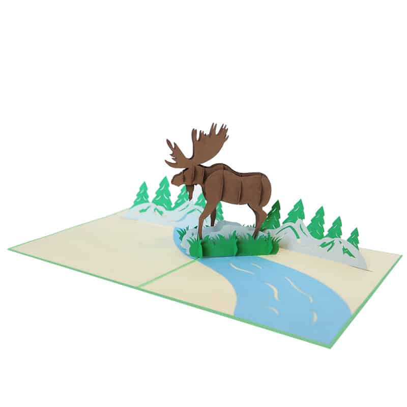 Rooster Cards Moose Pop Up Greeting Card - 3D Wildlife Birthday Thank ...