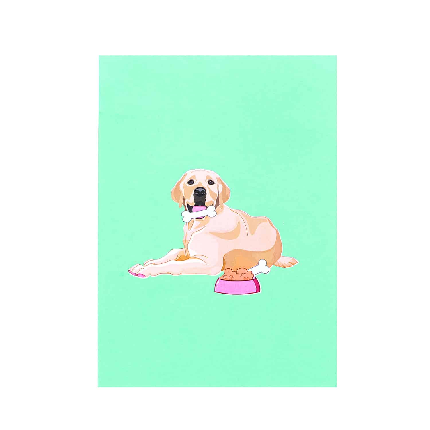 3D Pop up Greeting Cards CharmPop Gallery Pop Up Card Supplier
